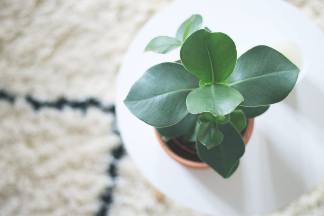 MON TAPIS BERBERE SAINT MACLOU (+CONCOURS) | Dis Oui Ninon